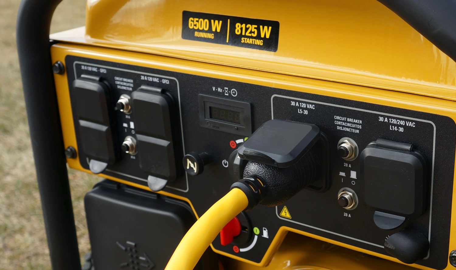 6 Best Cat Generators Reviewed in Detail (Winter 2025)